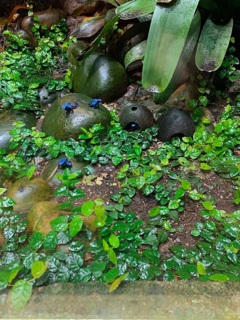 Days Out // Chester Zoo – The World According To Cathers