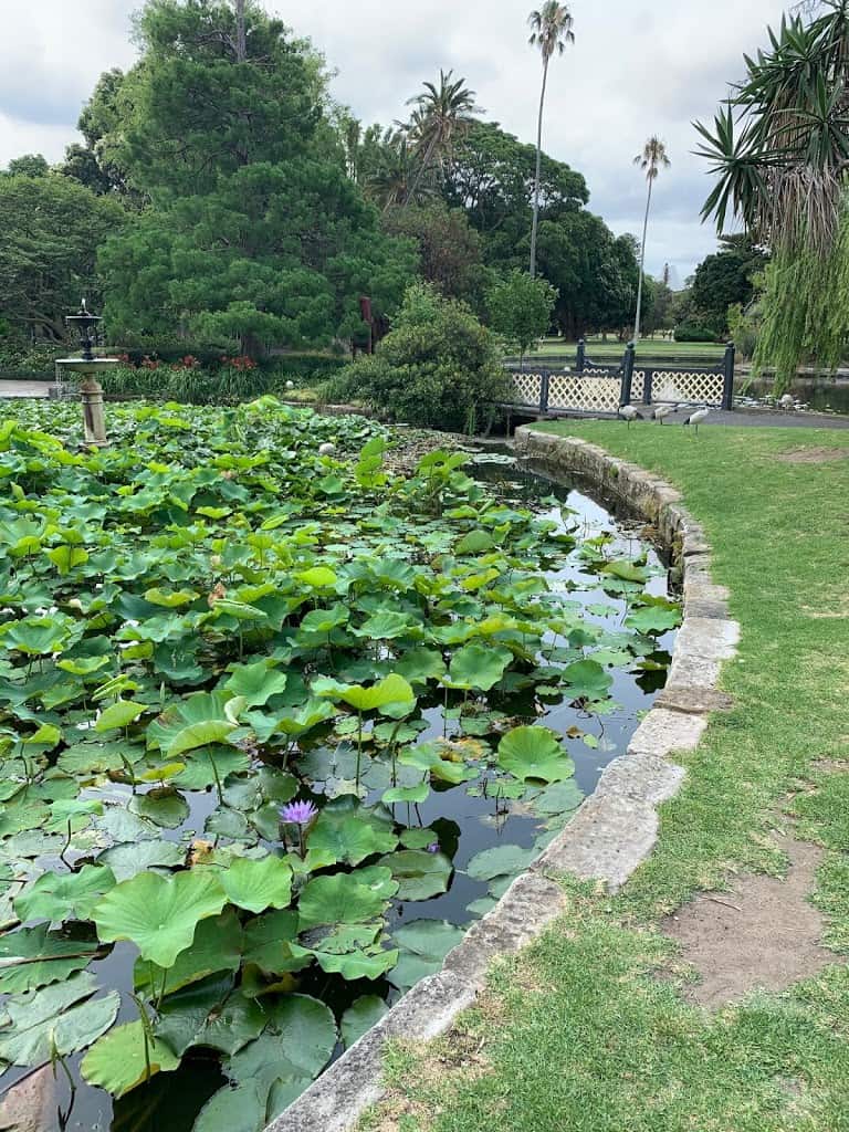 Travel // Sydney, Australia – The World According To Cathers