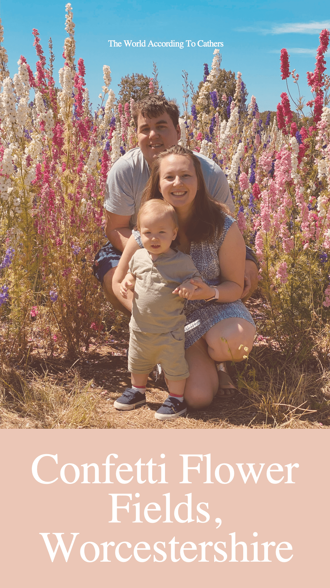 Summer Days: Visiting The Confetti Flower Fields, Worcestershire – The ...